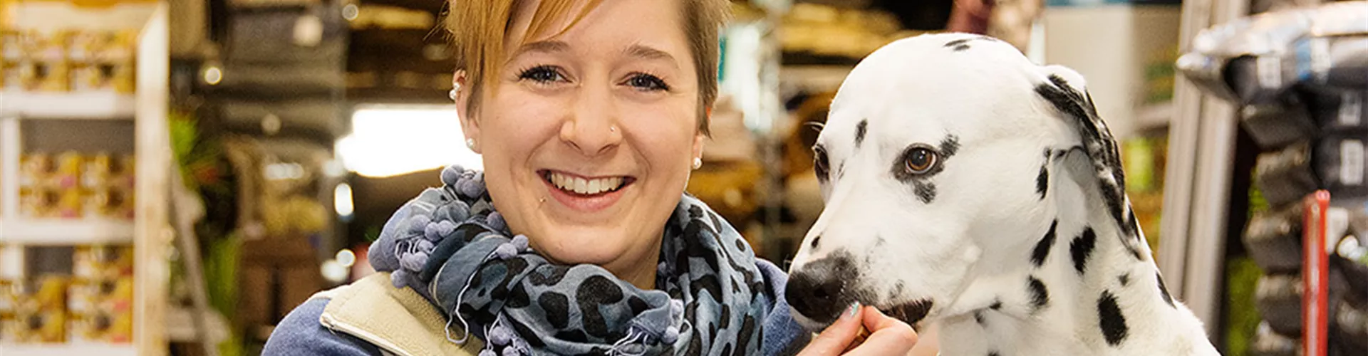 Expertentipps zum Thema Hund - Grün erleben - Klukkert